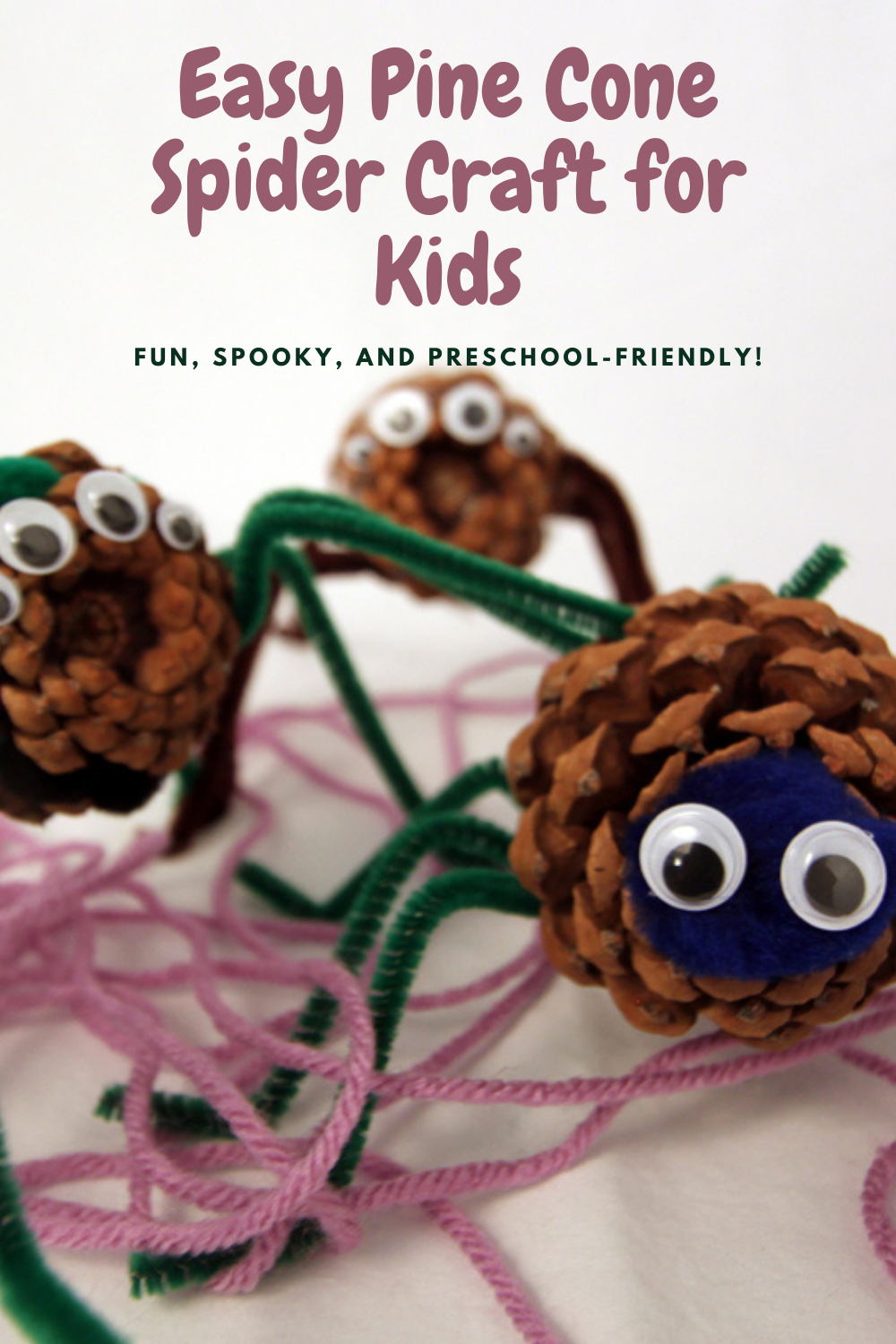 Easy Pine Cone Spider Craft for Kids – Fun Halloween DIY with Photos